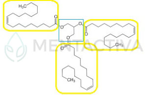 Ésteres de poliglicerol: tensioactivos y solubilizantes - Mentactiva